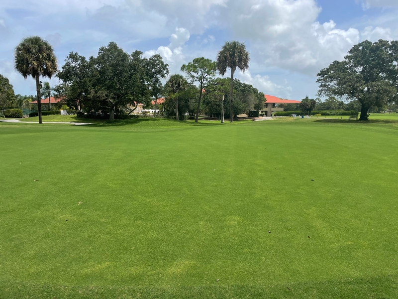 More in '24 - Meadowood Golf and Tennis Club